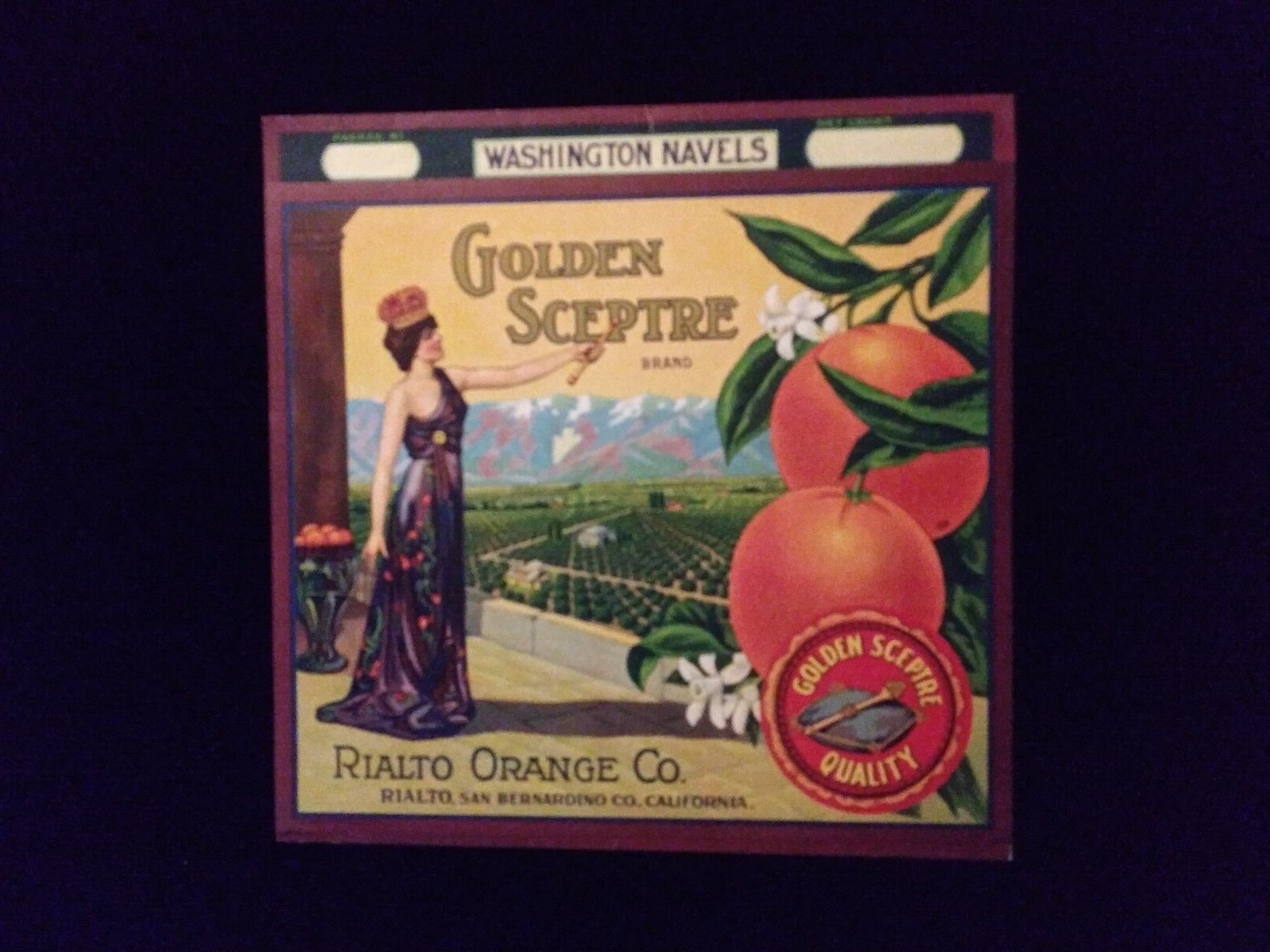 5 original vintage California citrus labels | eBay