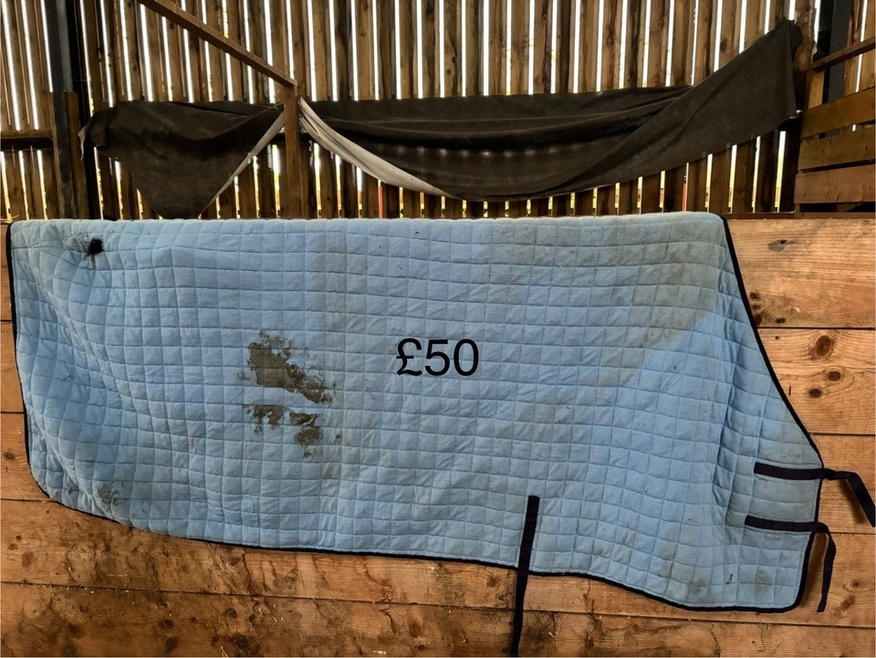 Thermatex Rug Size 6’6 | eBay UK