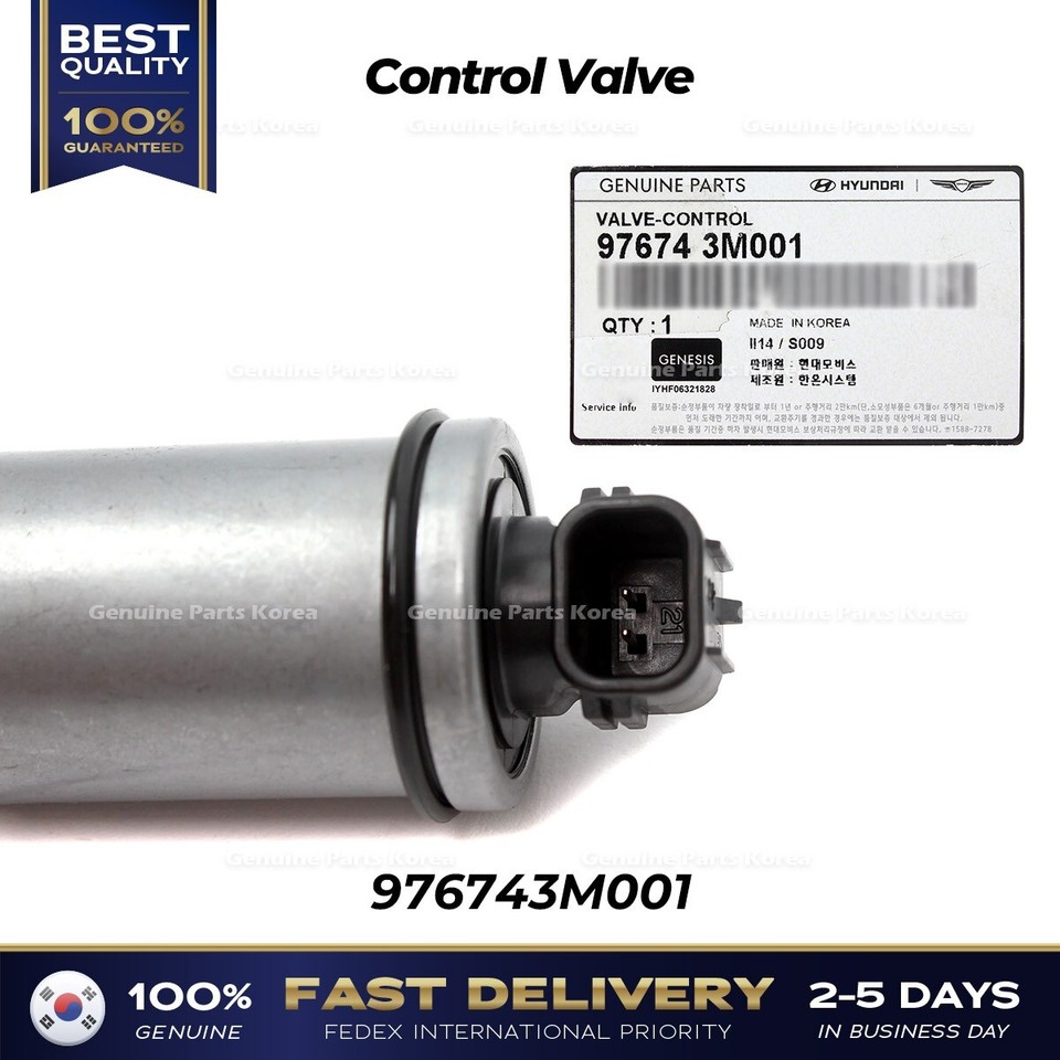 ⭐Genuine⭐ Control Valve 976743M001 for Hyundai Accent Kia Cadenza | eBay