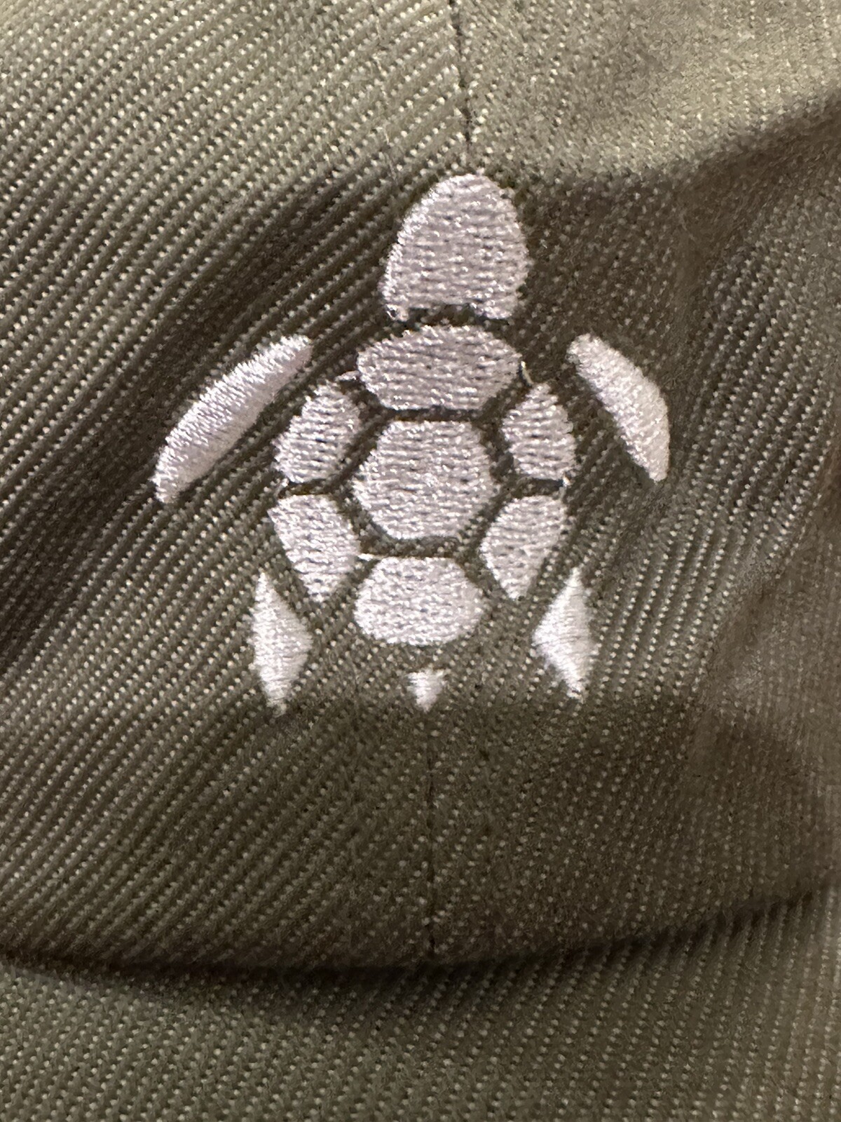 EC Earth Cap Green Sea Turtle Adjustable Strap Baseball Hat Sold Out ...