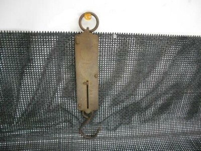 Scales - Continental Scale