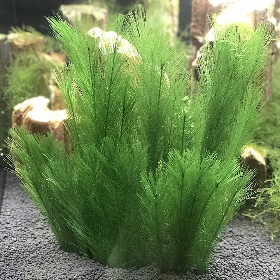 Aquarium Artificial Feather Grass Plastic Water Plants Fish Tank ...