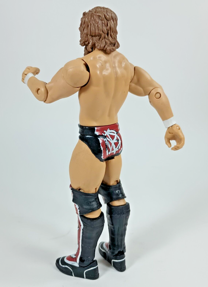 WWE Daniel Bryan Action Figure 2012. Mattel. | eBay
