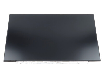 MSI GE75 RAIDER INNOLUX N173HCE-G33 17.3" FHD IPS 144HZ SCREEN S1J ...