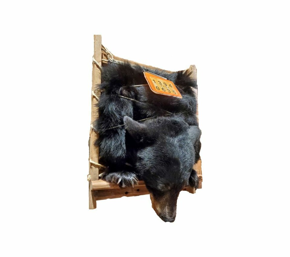 Whitetail Woodcrafters Pack Mount Frame- Large Vintage Old Hunting ...