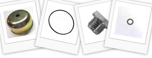 parts lot fuel bowl screw gasket walbro carburetor whl 20-180 92-301 96 ...