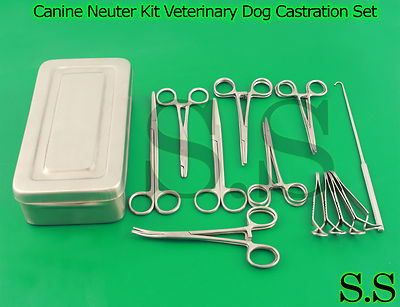 Veterinary - Castration