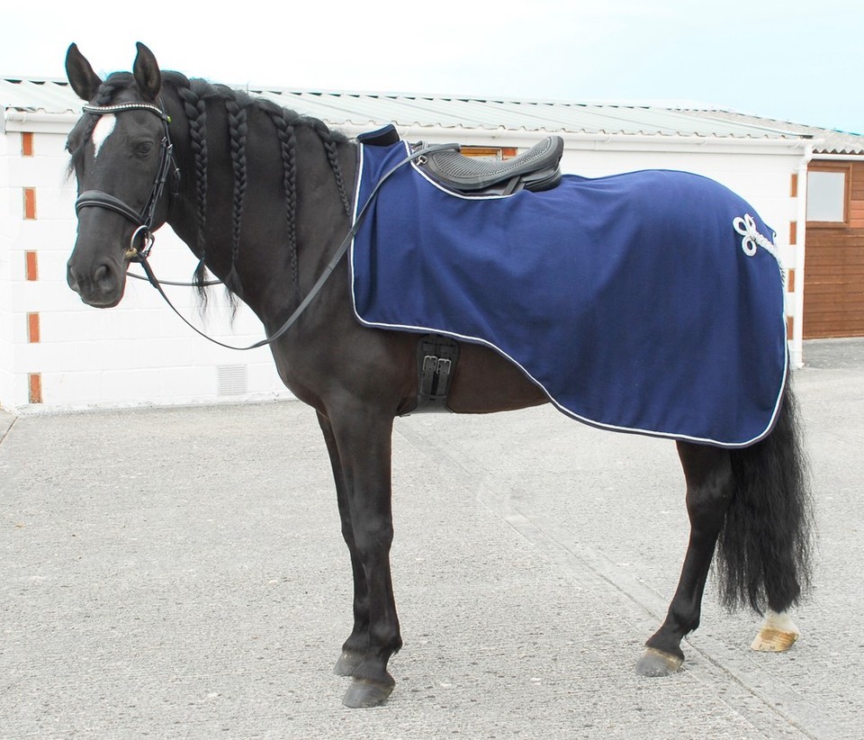 Rhinegold Embroidered Fleece Cutaway Ride On Horse Exercise Rug, 4 ...