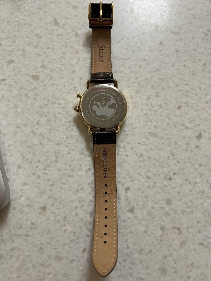 Stauer 1920s Retrograde watch, Precision quartz movement Stainless ...