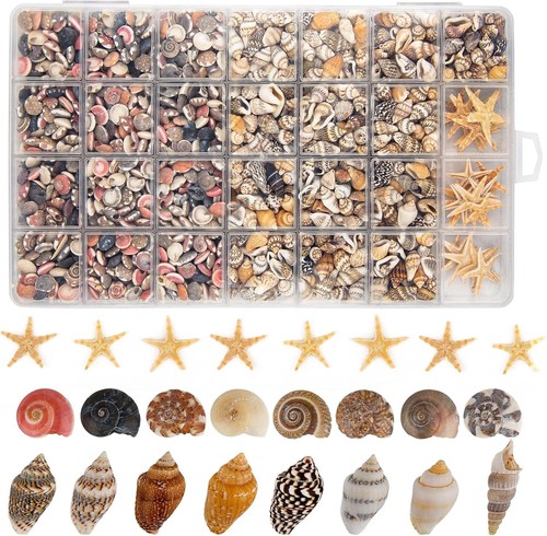 1200 PCS Tiny Seashells& 21 Starfish Mixed Bulk Beach Small Shells for ...