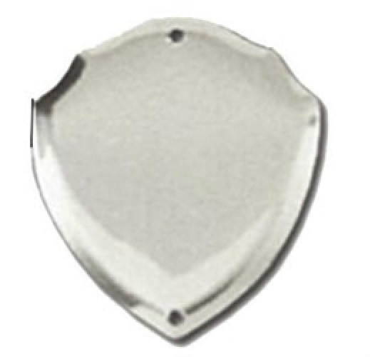 ANNUAL TROPHY SILVER SIDE SHIELDS FREE ENGRAVING PLATES AWARD CARTOUCHE ...