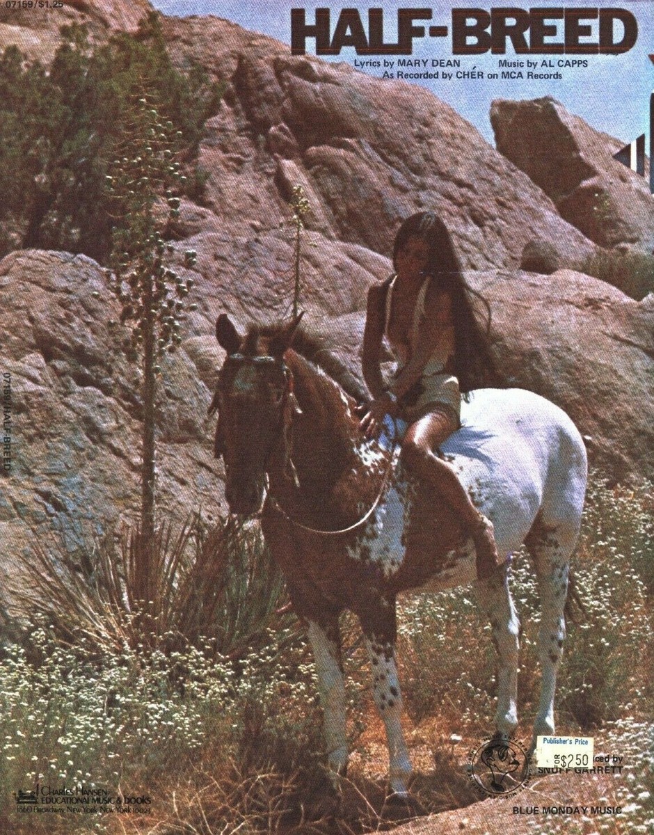 Cher Half Breed CHER THE LAST DIVA HER LAST HALF BREED COSTUME