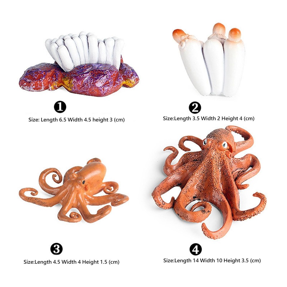 Octopus Growth Cycle Game Animal Figures Toy Realistic Biology ...