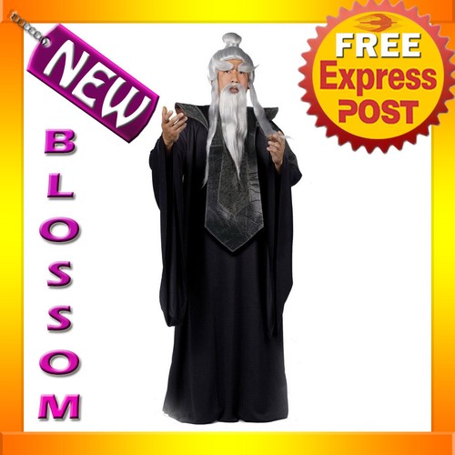 C374 Sensei Master Ninja Kungfu Halloween Adult Fancy Dress Up Party ...