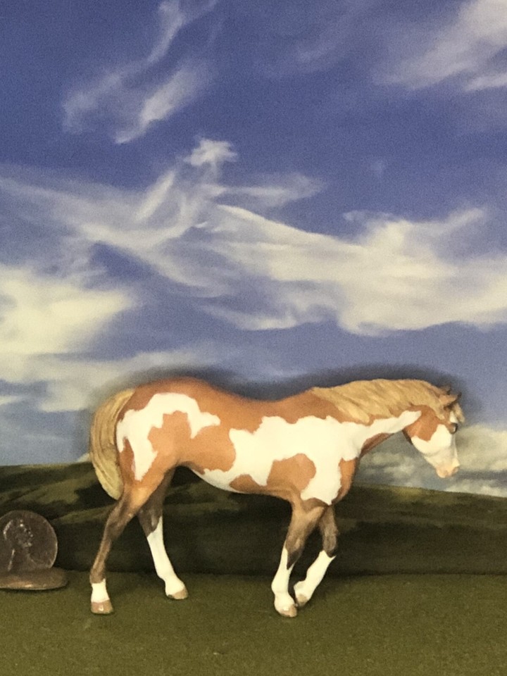 OOAK Breyer cm Custom Stablemate Horse Indian Ponyx D. Williams *Pinto ...