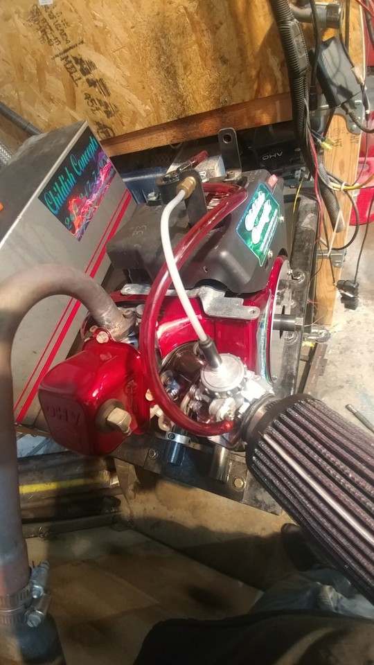 Rebuilt Briggs & Stratton Animal 206 kart mini bike engine | eBay