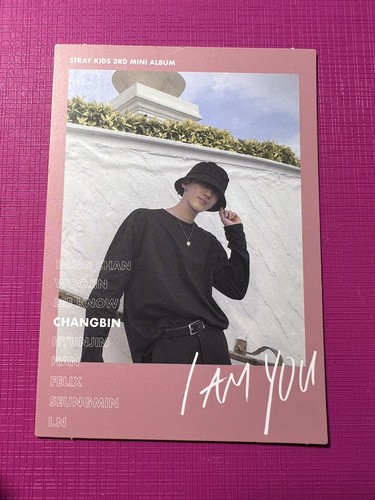 STRAY KIDS I AM YOU OFFICIAL Member POLA Photocard Photo Card ...