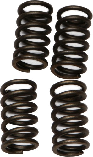 EBC CSK Clutch Spring Kit For Suzuki DR650 1996-2014 | eBay