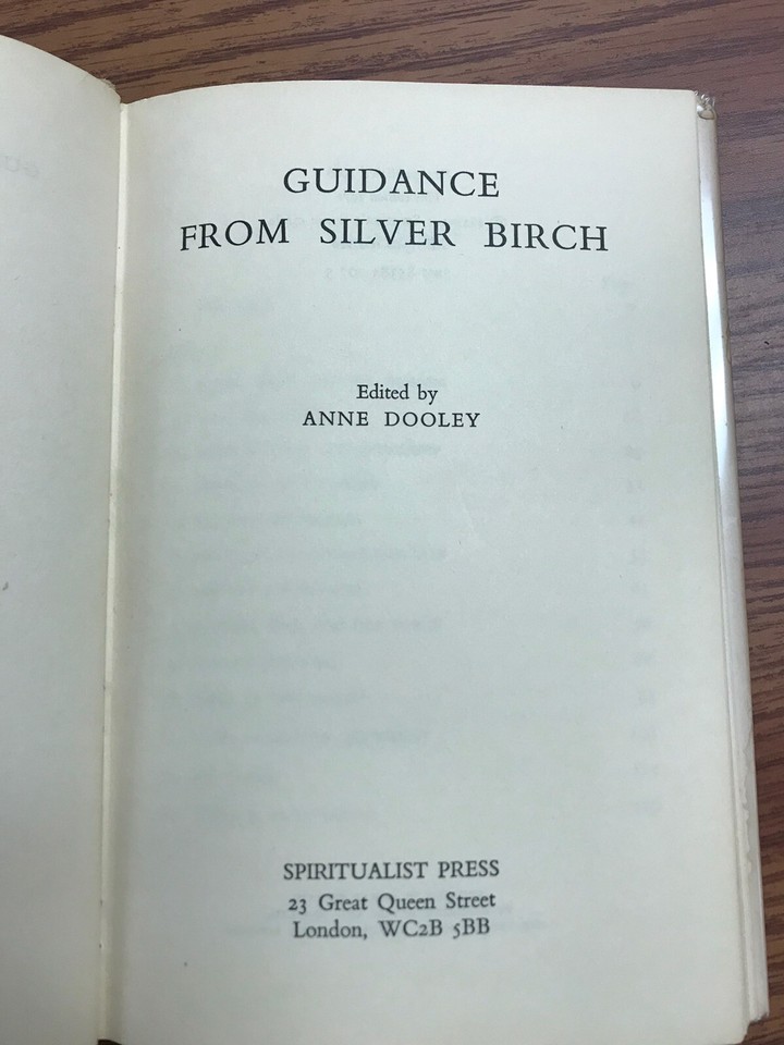 Guidance from Silver Birch By Anne Dooley (Editor) | eBay UK