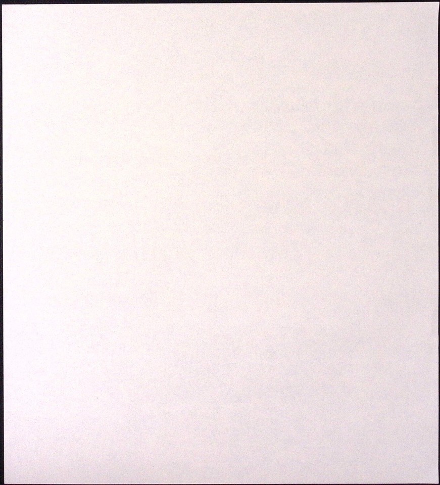 Prize White Swan & Gold Bond Brooms Amsterdam Broom Co Store Poster ...