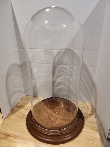 Glass Dome Bell Jar/Cloche Specimen Display Case Wood Fiber Base 12" × ...