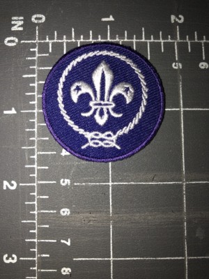 World Organization of Scouting WOS Boy Scouts of America BSA Patch ...