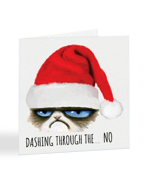 Grumpy Cat Meme Dashing Here Are The 14 Best Grumpy Cat Memes To Honor