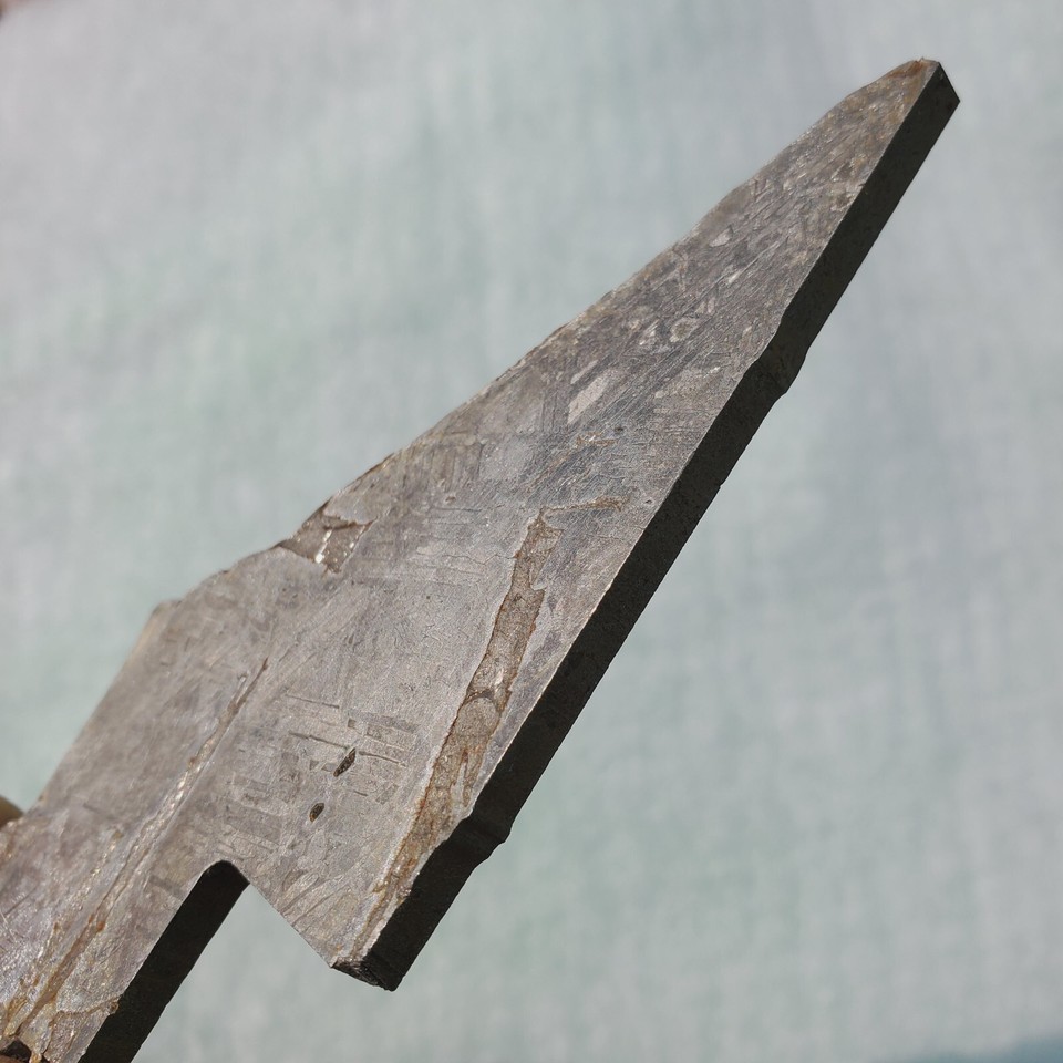 72g Aletai Iron Meteorite Slice | eBay