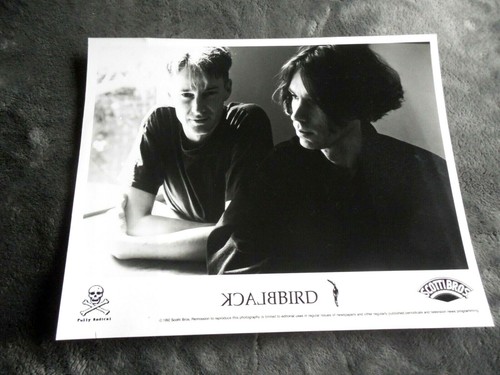 Blackbird Promotional 8x10 Press Photo 1999 Chip Tony Kinman | eBay