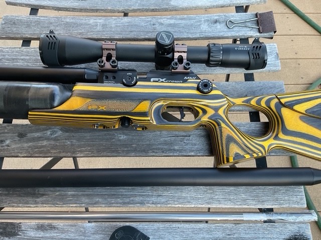 FX Crown Yellow Jacket, .25 Cal, Long Barrel, Slug Liner, FX Case, No ...