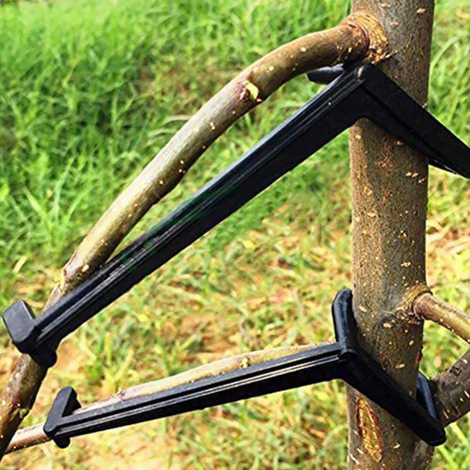 Set of 3 Puller Tree Branch Trainer Fruit Benders Young Limb Spreaders ...