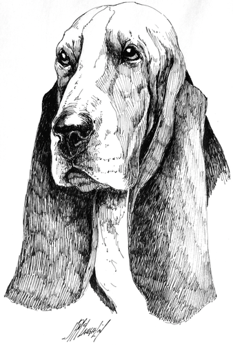 Laughlin 70s Pen Ink Pet Drawing Art MCM Retro 12x9” Dog Basset Hound ...