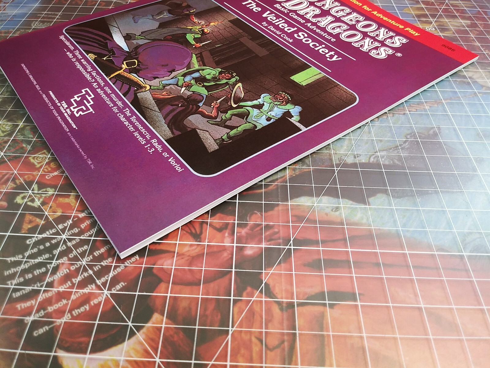 B6 The Veiled Society - Dungeons & Dragons - D&D - AD&D | eBay