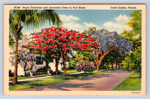 Vintage Postcard Thomas R West Miami Florida | eBay