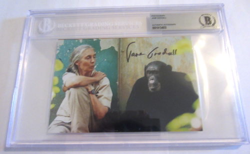 Dr Jane Goodall signed autographed 4x6 photo Beckett BAS zoologist ...