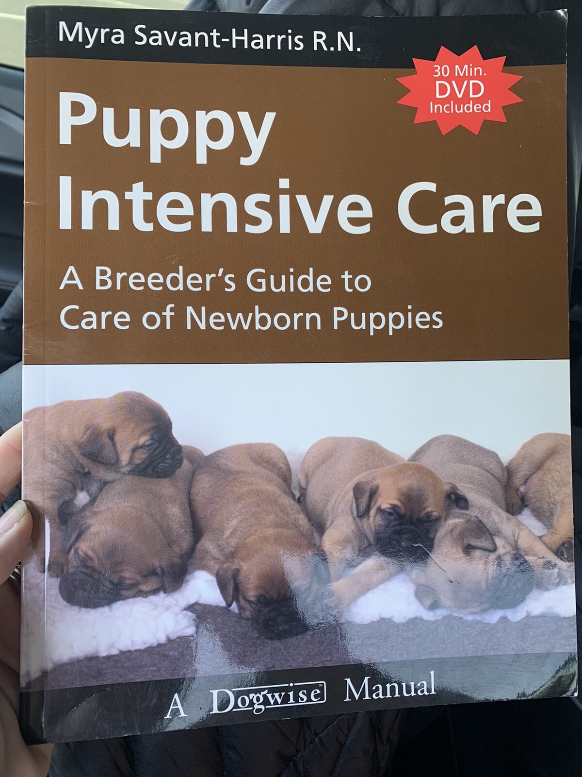 Puppy Intensive Care: A Breeder's Guide to Care of Newborn Puppies by ...