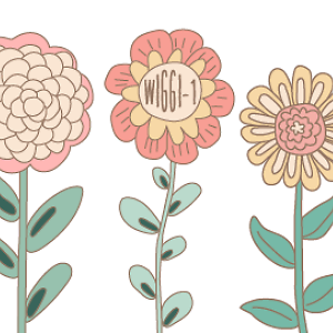 Wiggi-1 | eBay Stores