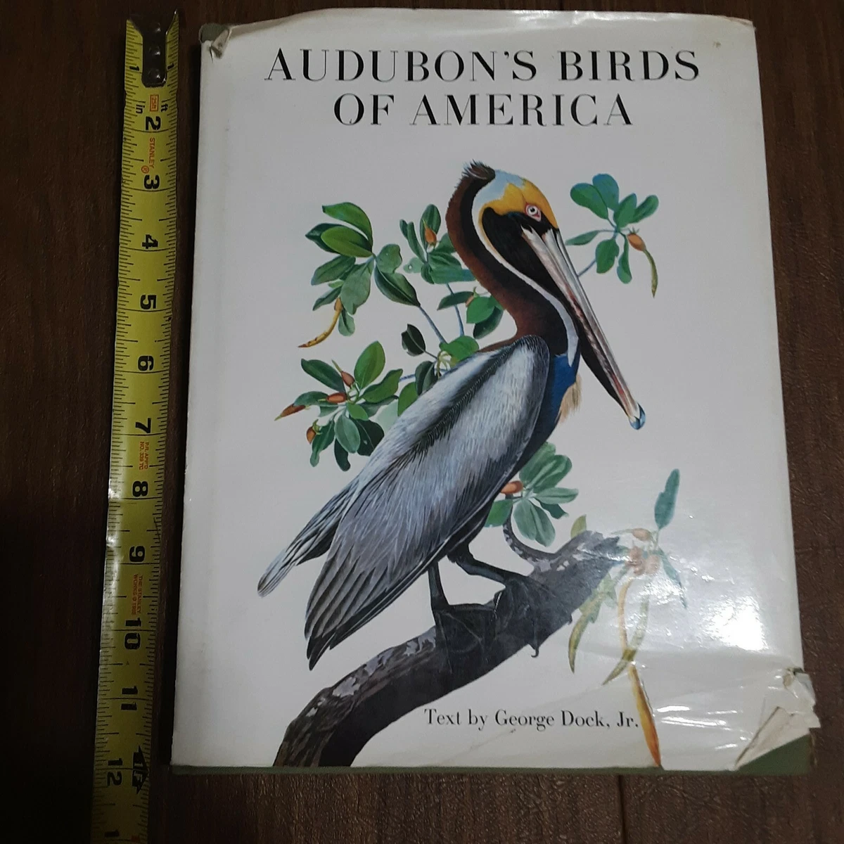 Audubon Birds Of America Book