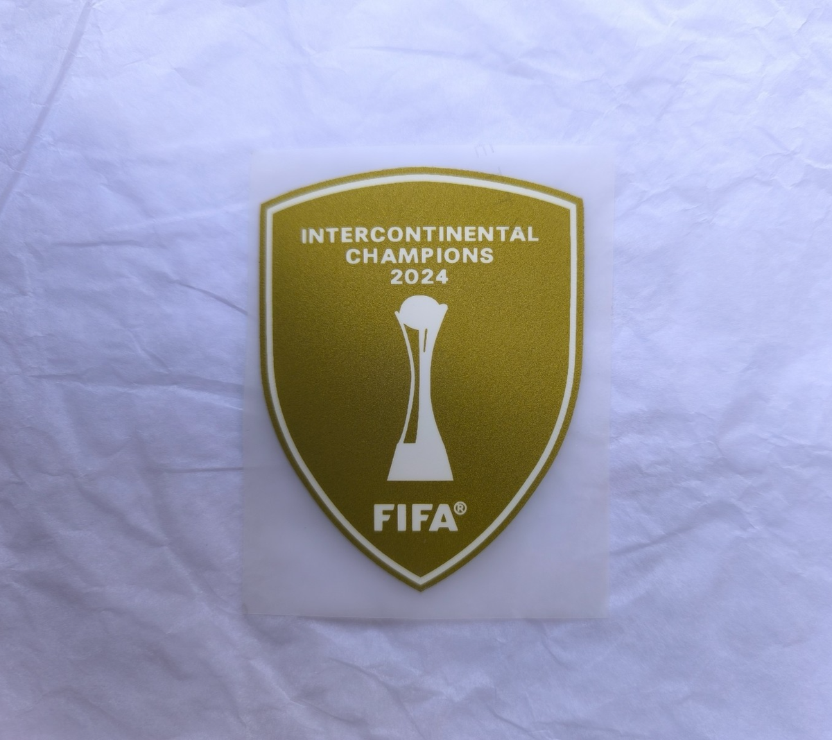 Fifa Logo 2024 Png