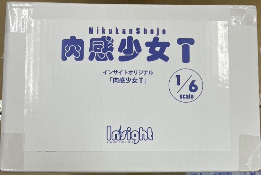 Insight Nikukan Shoujo T 1/6 Scale Complete Figure PMMA Used Japan | eBay