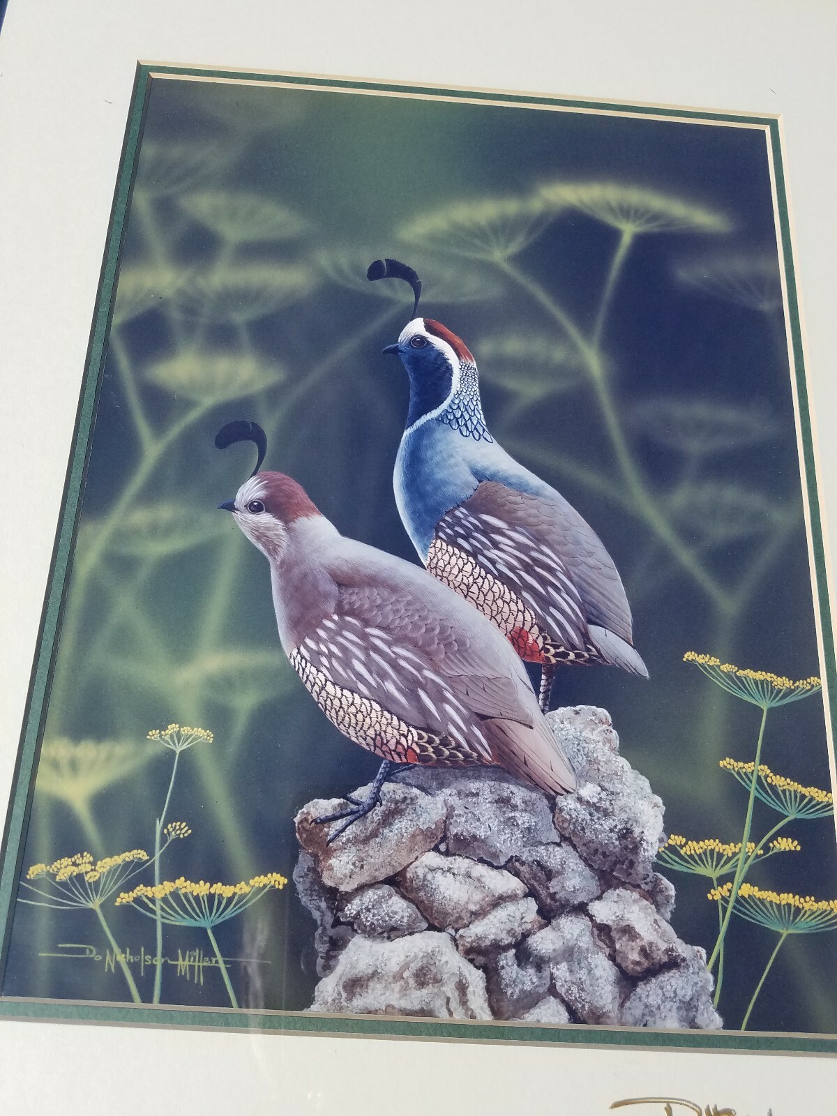Artist signed, front and back, D. Nicholson Miller Quail pair print | eBay