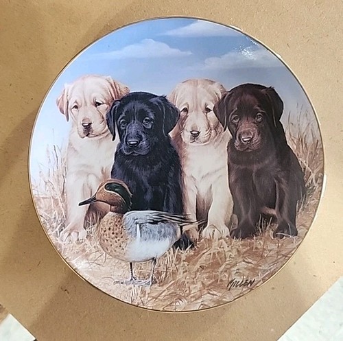 Labrador Retriever Collector Plate, Retrievers In Training by JIM ...