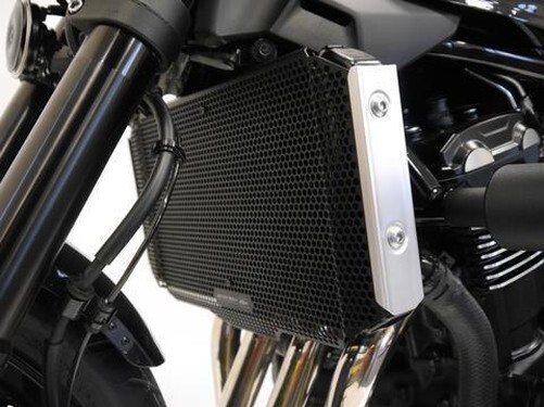 KAWASAKI Z900RS Radiator Guard Protection (2018-2020) by Evotech ...