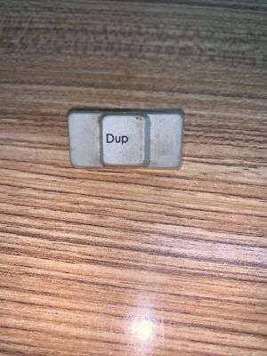 IBM Model M F F122 SSK Keyboard Keycaps Buckling Spring Caps Genuine | eBay