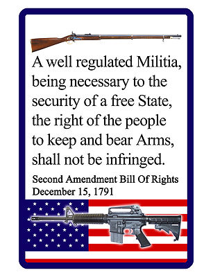 2nd Amendment Sign FULL COLOR DURABLE ALUMINUM FIREARM USA GUN RIGHTS ...