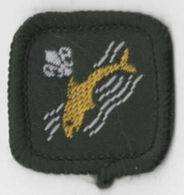 Scout Proficiency Badges GREEN Bdr. [INT580] | eBay