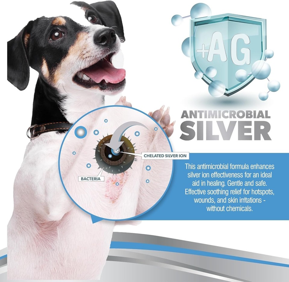 PetSilver Wound Spray with Chelated Silver, All Natural, Pain Free ...