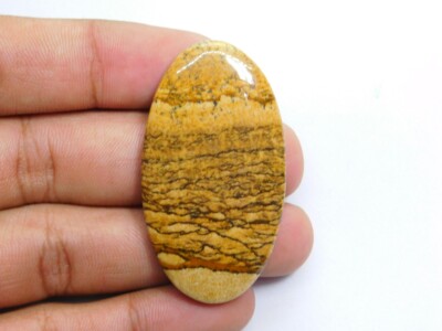 Top Grade Natural African Picture Jasper Cabochon Loose Gemstone 76 Cts ...