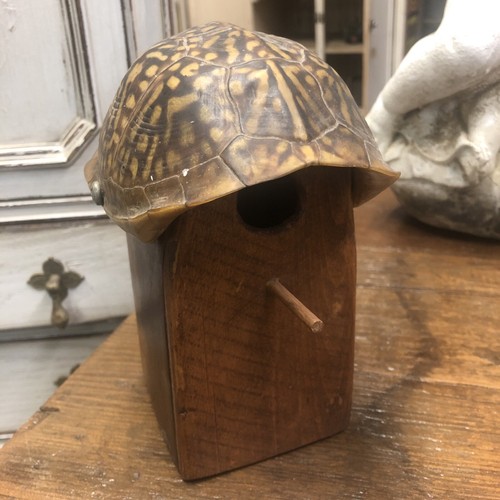 Eastern Box Turtle Shell Taxidermy Bird House | eBay