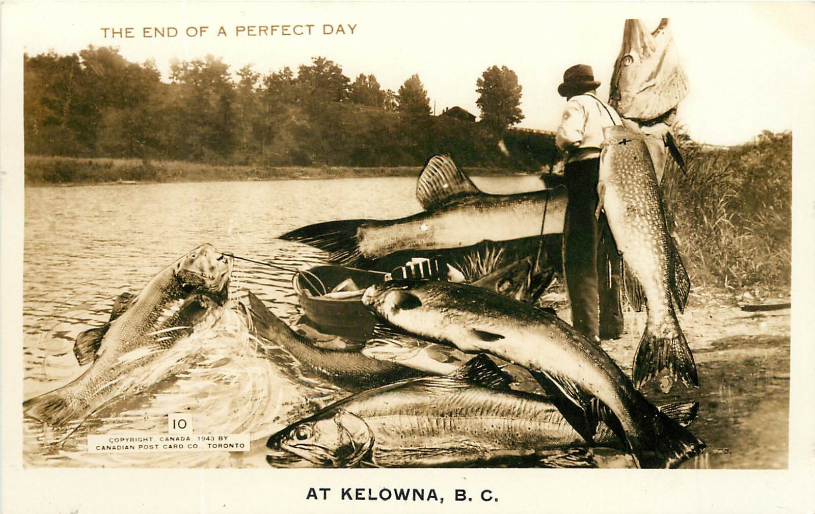 RPPC 10 Fishing Exaggeration Many Big Fish End of Perfect Day Kelowna ...